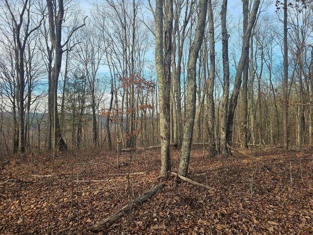 29003 Smith Mtn, Dunlap, TN 37327