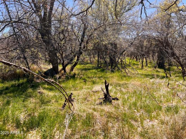 2900 Old Skull Valley Road #