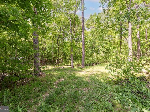 2900 Calmes Neck Lane