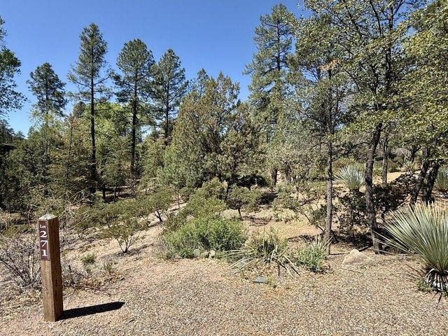 2900 E Lions Pocket Lot 271, Payson, AZ 85541
