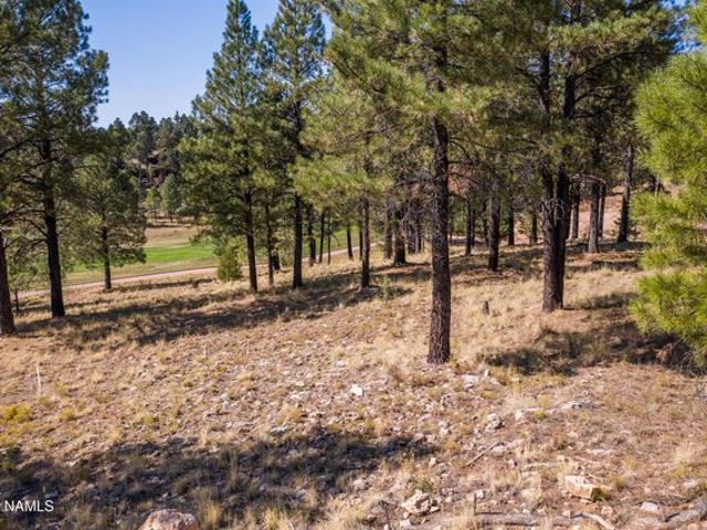 2900 S Solitaires Canyon Dr, Flagstaff, AZ 86005