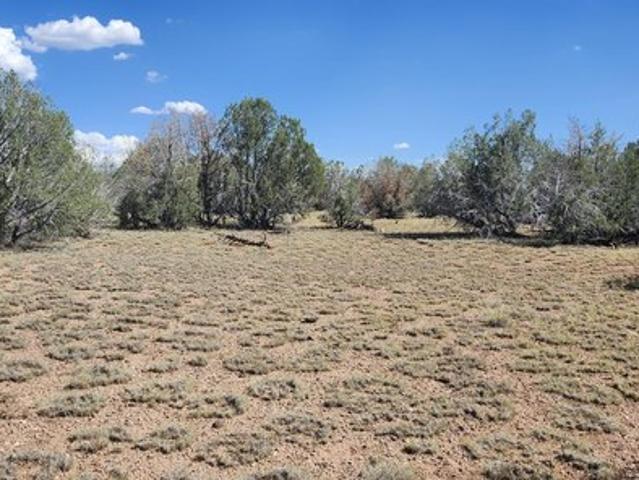 2901 N Cienega Dr Unit A, Ash Fork, AZ 86320