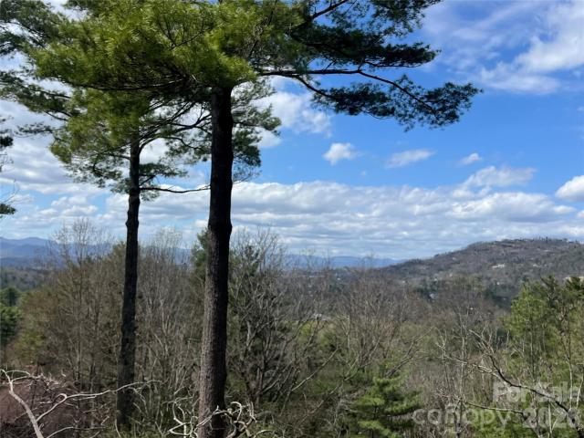 2902 A Timber Trail