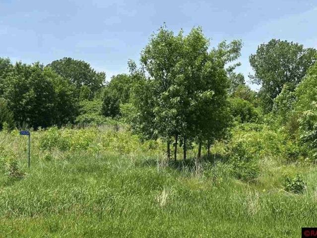 29036 Biehn Dr, Madison Lake, MN 56063