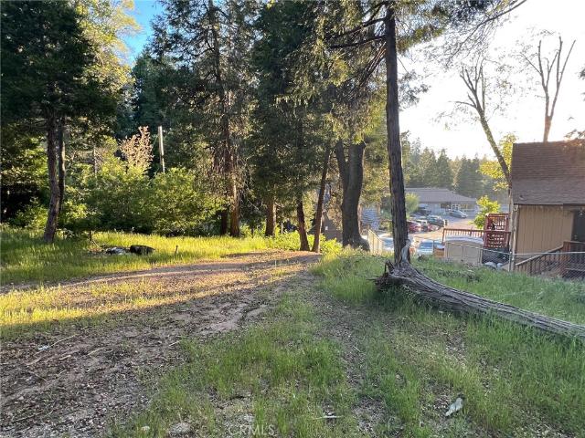 29038 Terrace, Cedar Glen, CA 92321 | MLS #IG25108 | Compass