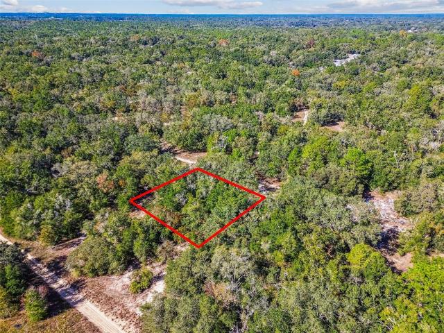 2903 Tyler St, Inverness, FL 34453 | MLS #O6360