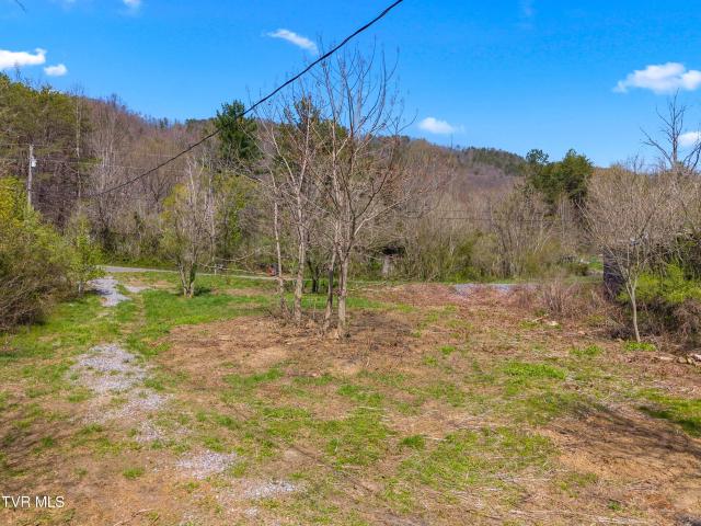 290 Cave Springs Road