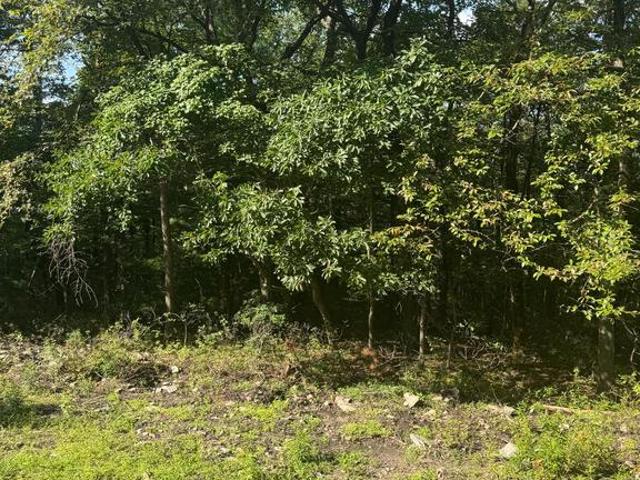 290 Hirschmann Road