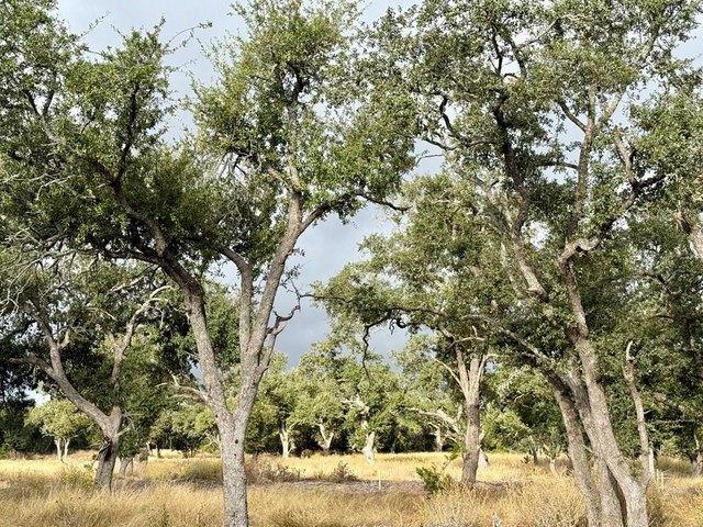290 Stallion Dr Lot 139, Harper, TX 78631