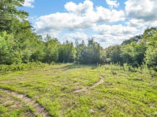 290 Pine Hill Road