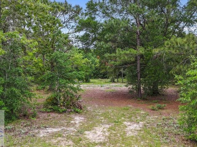 290 Yellow Pine Road