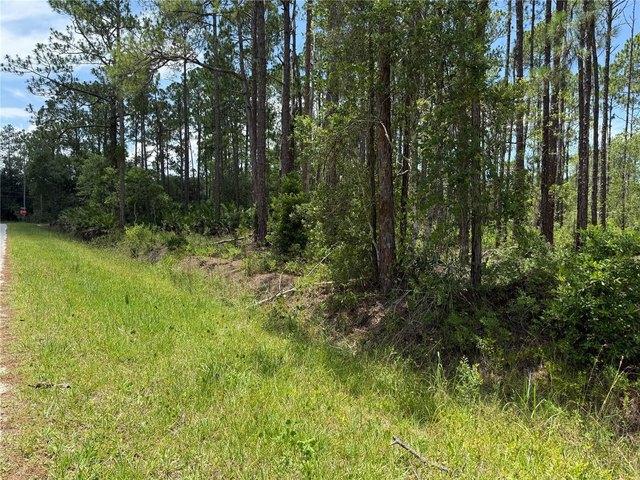 2914 Avocado Blvd, Bunnell, FL 32110