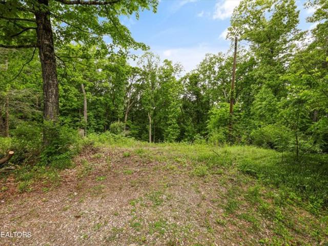 2915 Curtis Ln, Knoxville, TN 37918