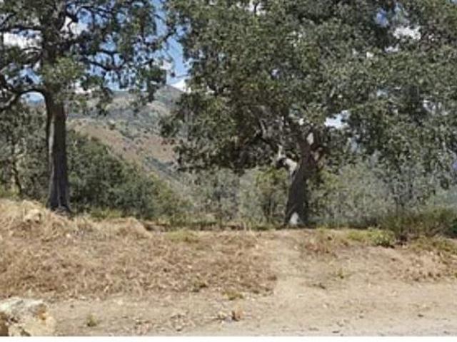 29170 Theresa Springs Rd, Tollhouse, CA 93667 | MLS #ML81991 | Compass
