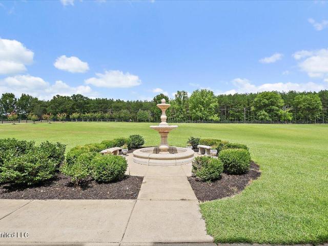 2917 Black Jack Road