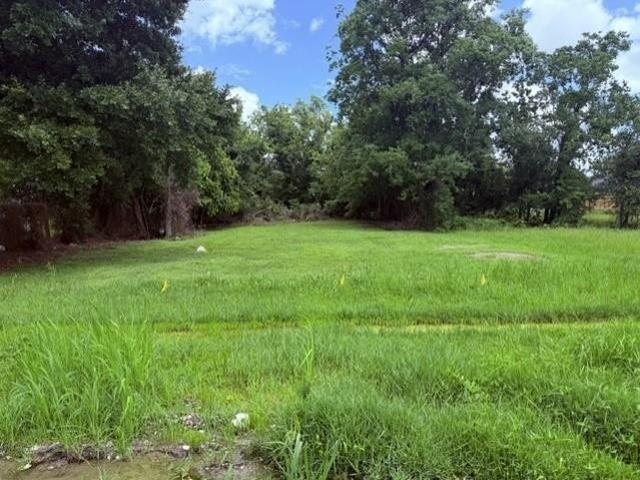 2917 Live Oak St Lot G, New Orleans, LA 70118