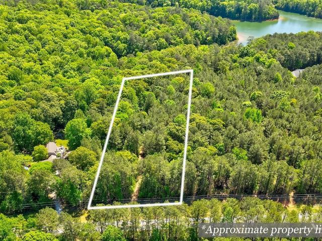 2917 Ruckersville Road