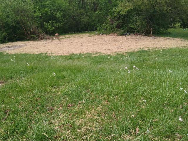 2919 Edgewood Ave, Knoxville, TN 37917 | MLS #1336 | Compass