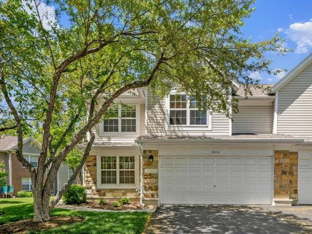 2910 Belle Ln Unit 2910, Schaumburg, IL 60193