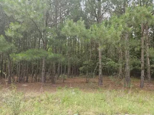 2910 DOC NAOMI RD, MANNING, SC 29102 Vacant Land For Sale MLS.