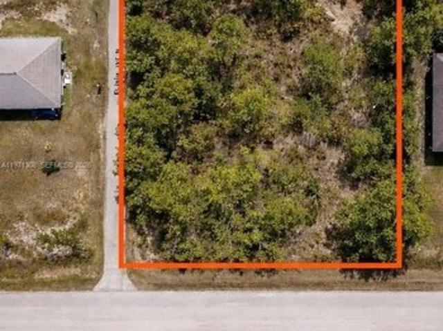 2910 Elaine Ave N, Lehigh Acres, FL 33971