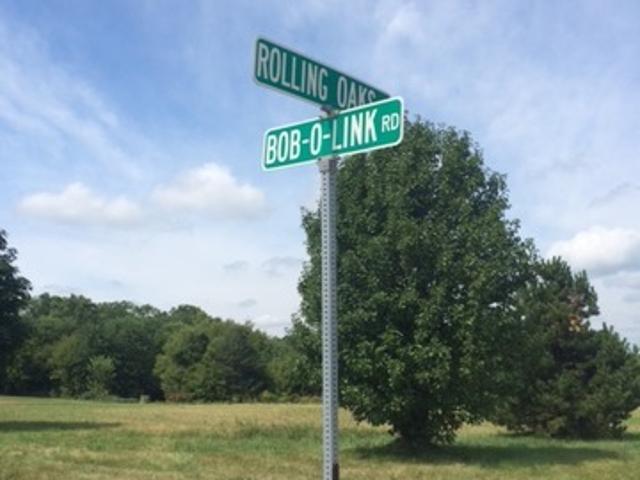 2910 Rolling Oaks Rd, Spring Grove, IL 60081 | MLS #12174