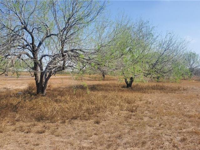 29123 N Kansas City Rd, La Feria, TX 78559 | MLS #497438