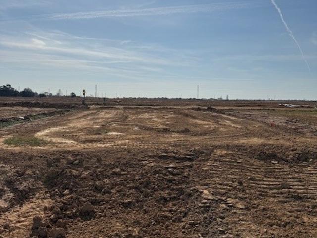 29127 Dandelion Sky Dr, Waller, TX 77484 | MLS #77705