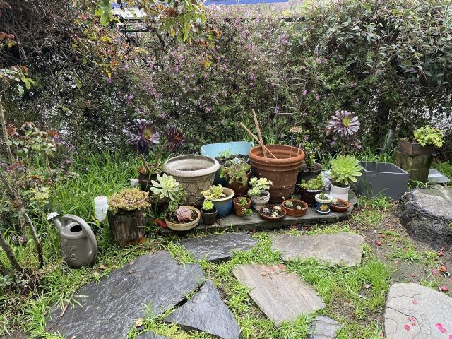 2912 Claremont Ave 1 Bedroom Apartment for Rent at 2912 Claremont Avenue, Berkeley, CA 94705 Claremont
