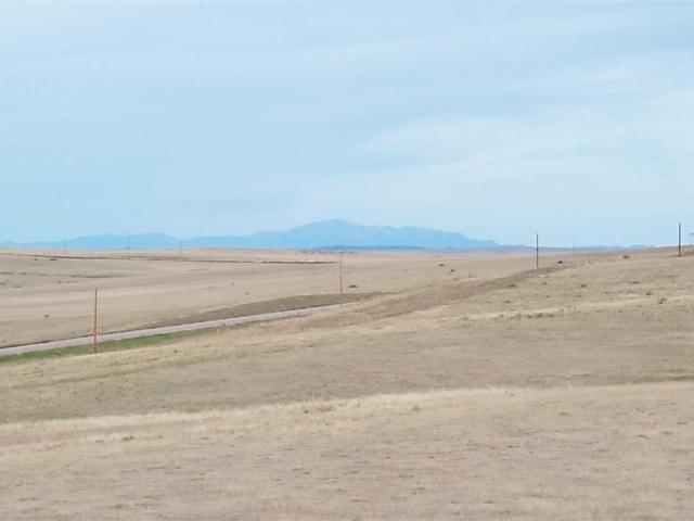 29130 County Road 153