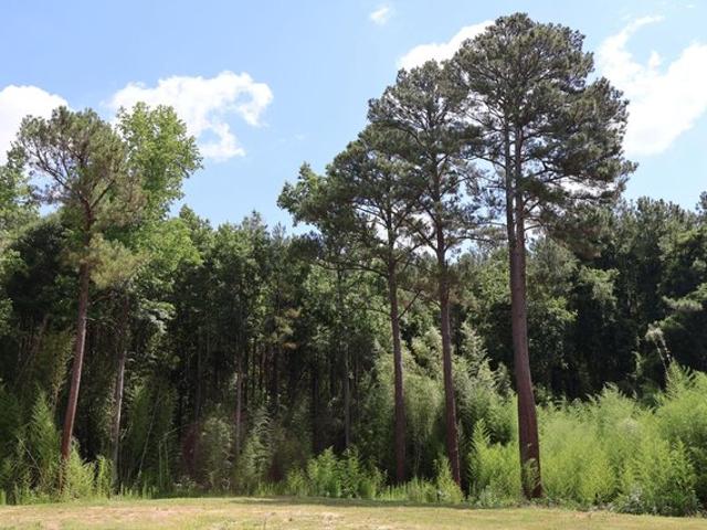 2913 NC 27 E, Coats, NC 27521