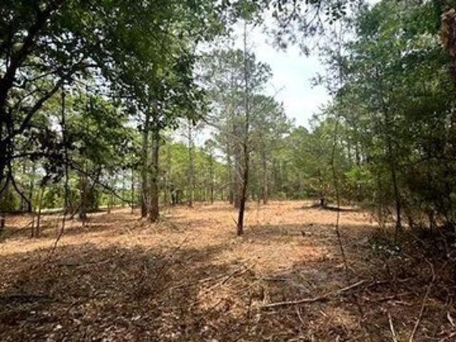 2913 James St SW, Supply, NC 28462