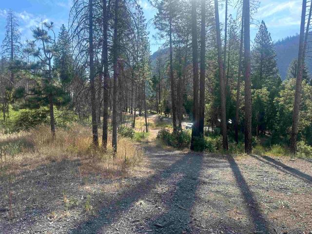 291 255 Roeder Ave, Crescent Mills, CA 95934 | MLS #20230