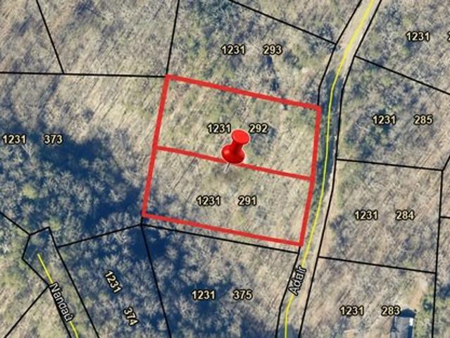 291 and 292 Adair Dr, Ranger, GA 30734
