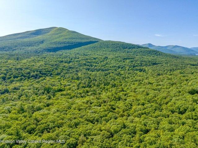291 Acorn Hill Rd, Olive, NY 12461