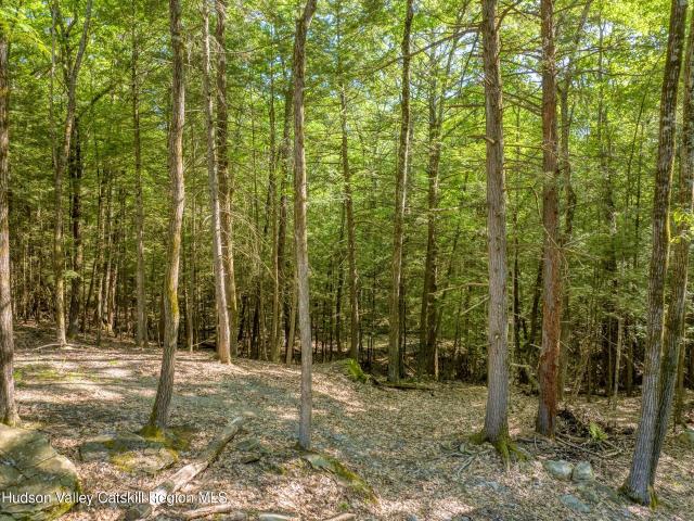 291 Acorn Hill Rd, Olive, NY 12461 | MLS #20261 | Compass