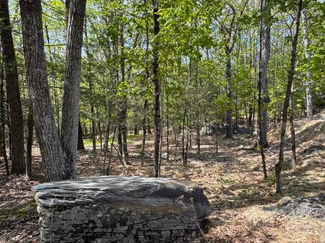 291 Acorn Hill Road