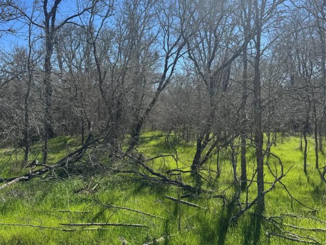 291 Kolekole Ln
