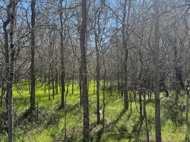 291 Nene Ln, Bastrop, TX 78602 | MLS #9379