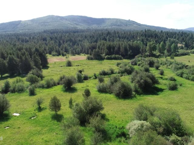 29251 Highway 6, St. Maries, ID 83861 | MLS #26 1818