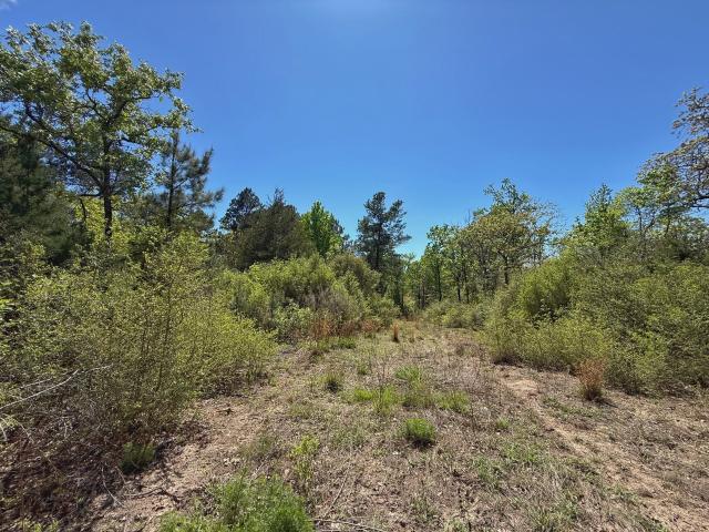 2926 Buffalo, TX 75831 | MLS #13290 | Compass