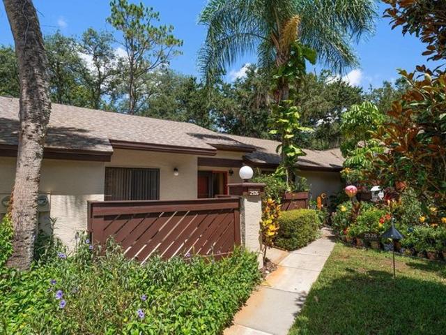 2926 Star Apple Ct, Palm Harbor, FL 34684