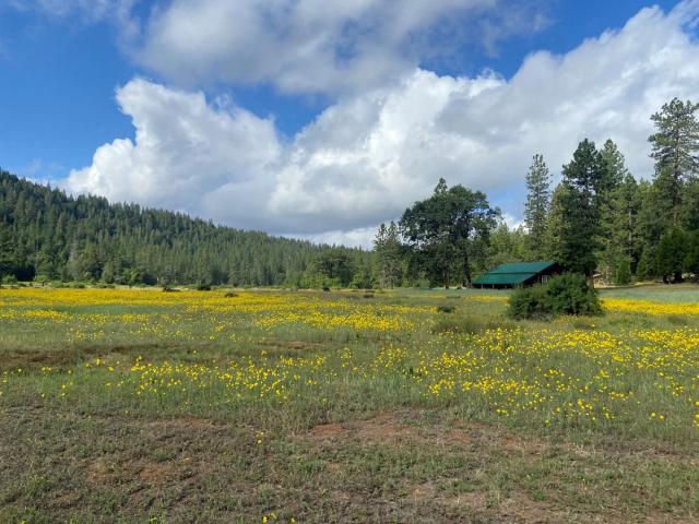 29276 Bullskin Ridge Road
