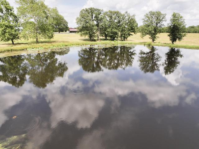 29282 Militia Road