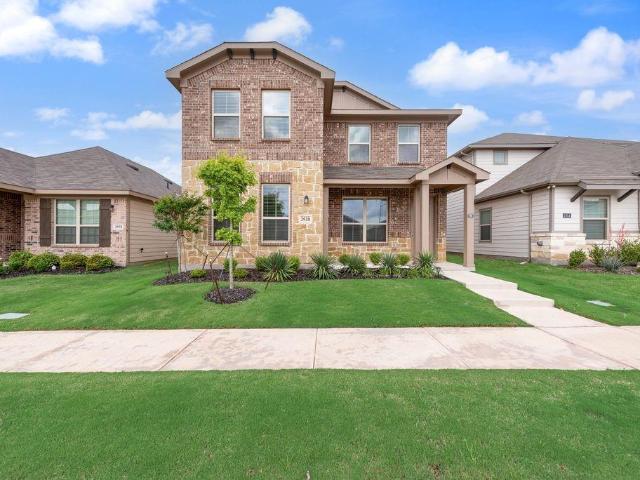 2928 Brittlebush