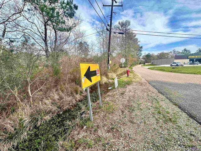 29208 S Satsuma Rd, Livingston, LA 70754 | MLS #BR2024018 | Compass