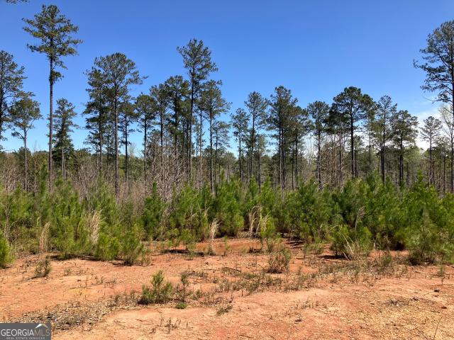 2920 Airline Rd, McDonough, GA 30252 | MLS #10715