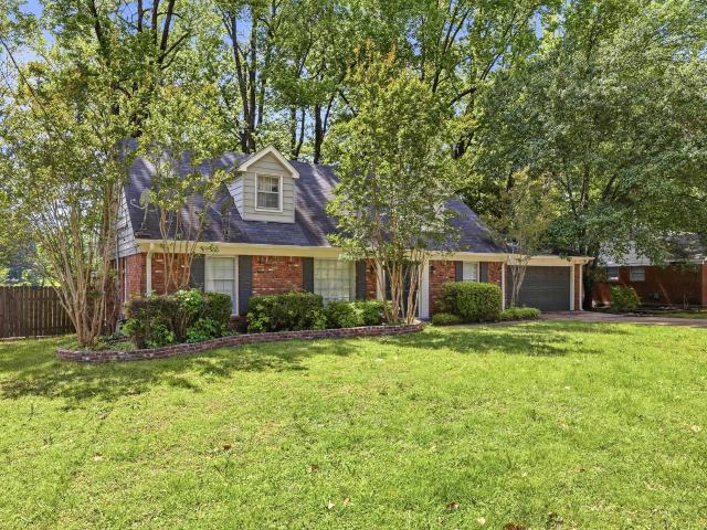 2921 birchfield dr