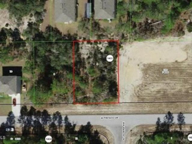 2923 W Pintado Dr, Citrus Springs, FL 34433