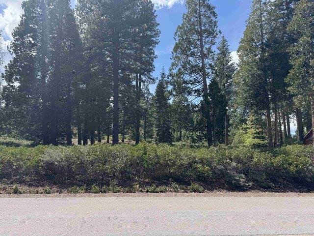 292 Dinsmore Dr Lot 319, Lake Almanor, CA 96137